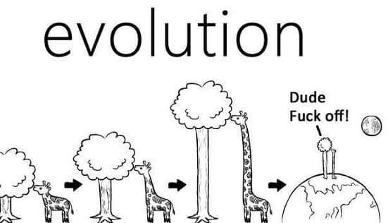 These damn long necks. - 9GAG