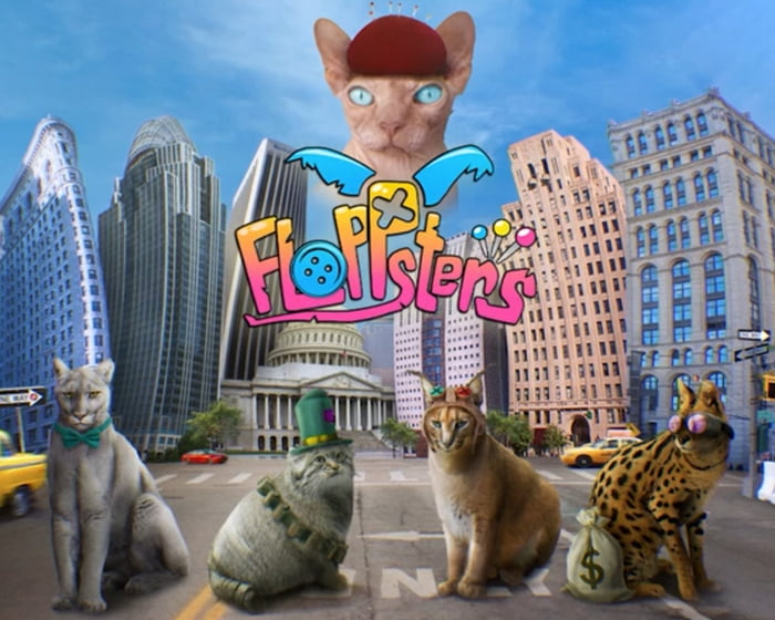 Videogame featuring your favorite cats: Floppa, Sogga, Bingus, Plinka ...