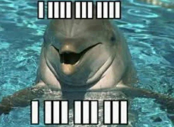 IIII III I I IIII - 9GAG