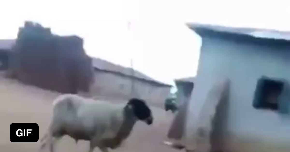 Get rotated. Idiot - 9GAG