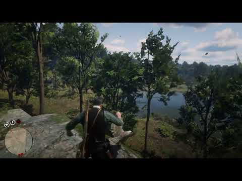 How to hunt a hawk in rdr2 - 9GAG