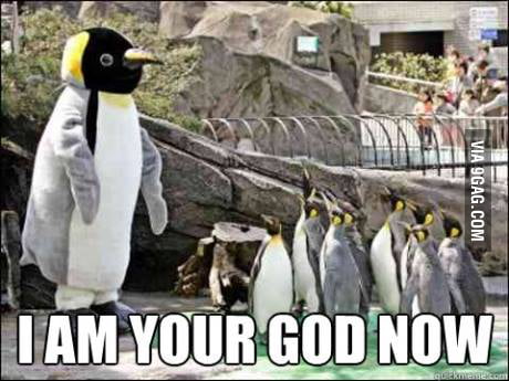 Penguin god - 9GAG