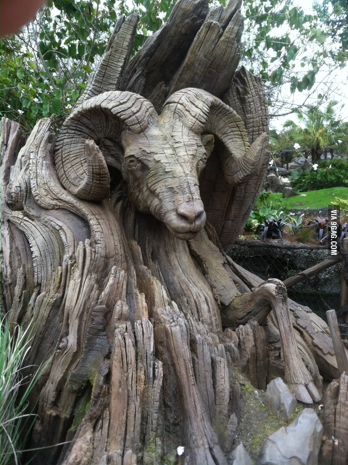 Beautifully carved ram's head emerging from this old tree trunk. - 9GAG