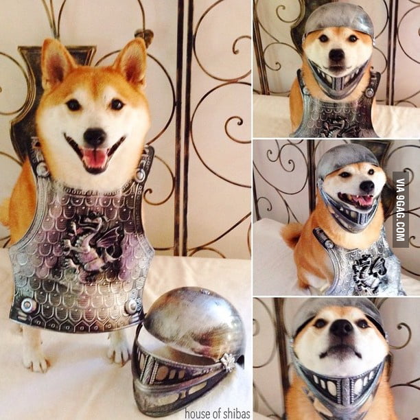 Doge armour - 9GAG