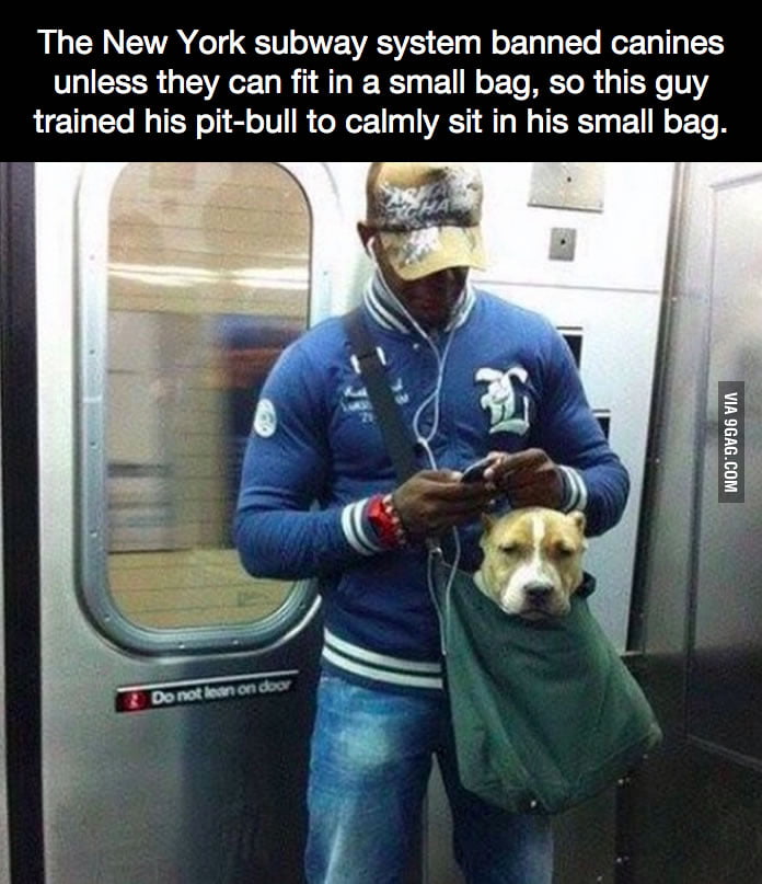 Double Bag Memes
