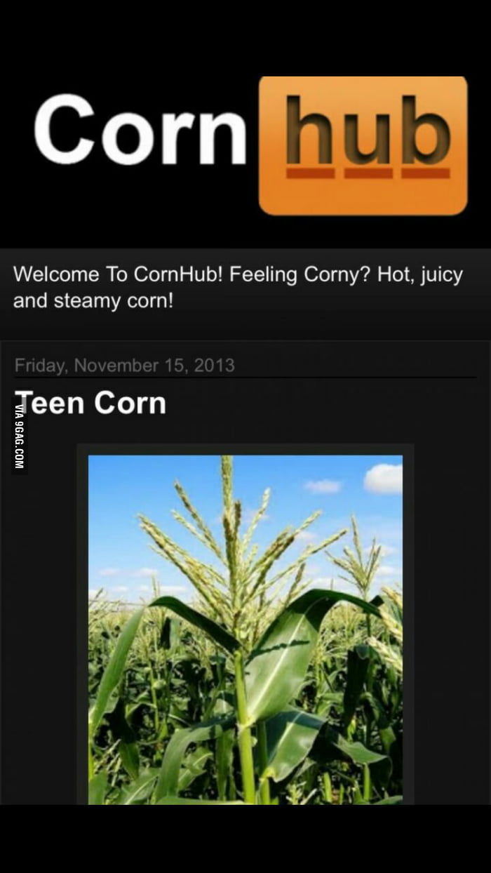 As a farmer, I would totally subscribe for teen corn hub - 9GAG