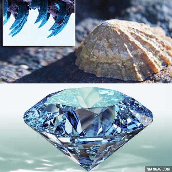 Scientists discover that the hardest natural material in the teeth of a ...