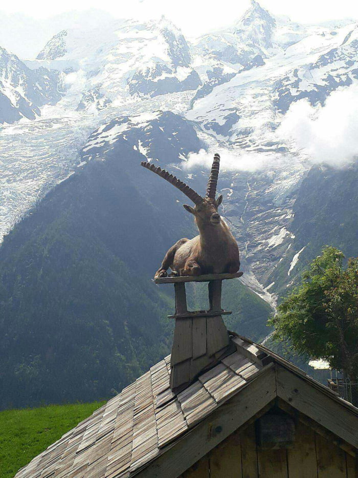 I usually charge for my chimney jokes, but this one's on the house. - 9GAG