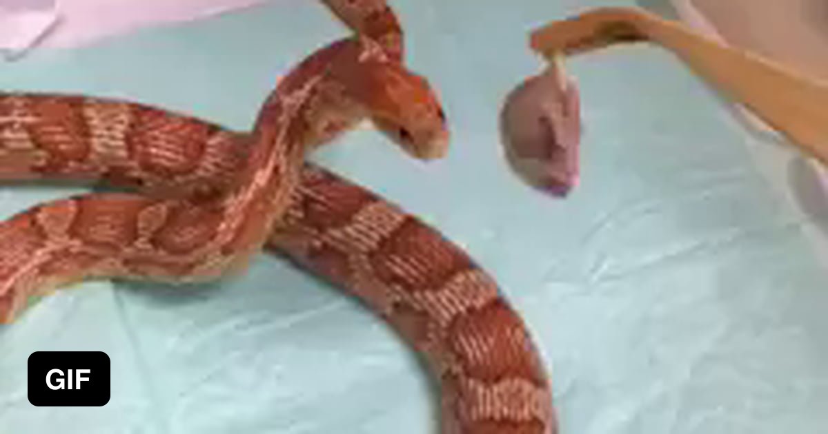 Mouse sensitivity too high - 9GAG