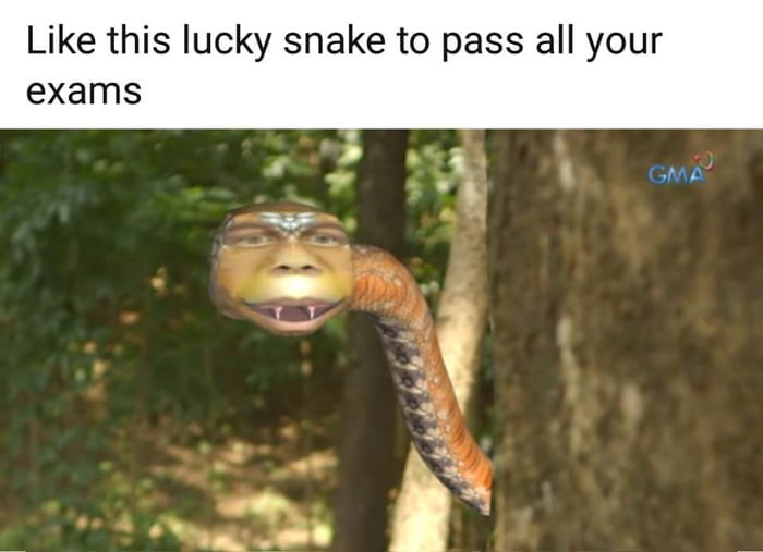 Good luck 9Gagers - 9GAG