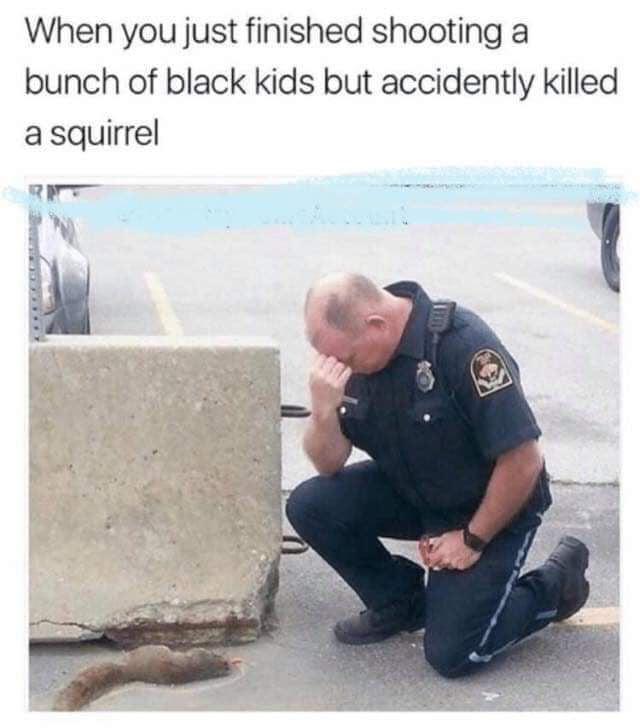 Dead squirrel - 9GAG
