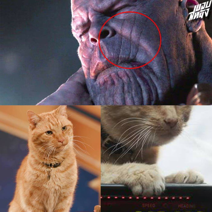 Where you get that scar ? - 9GAG