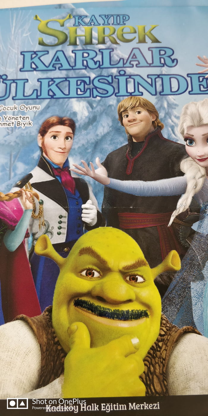 I drew a moustache on Shrek and he's more human than ever - 9GAG