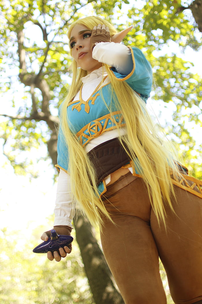 Zelda BOTW by Caroangulito - 9GAG