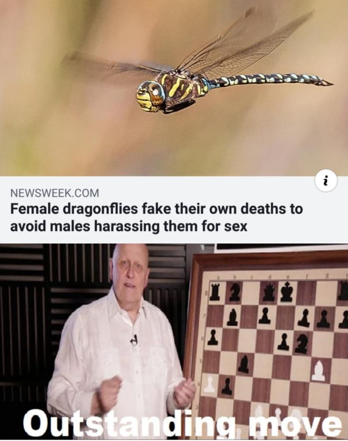 What a savage insect - 9GAG