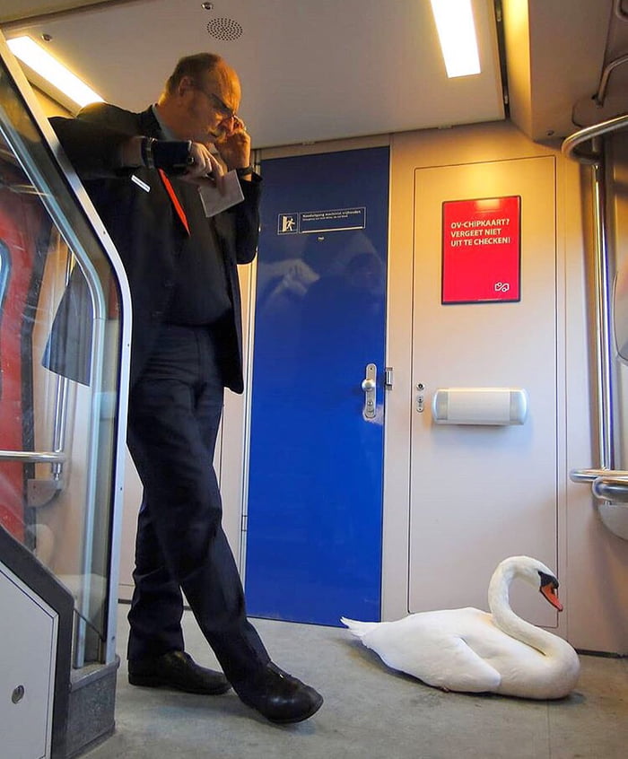 Only in the Netherlands - 9GAG