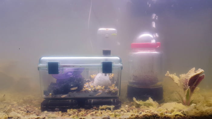 There is a guy on youtube named Hampture who's trying to create an ...