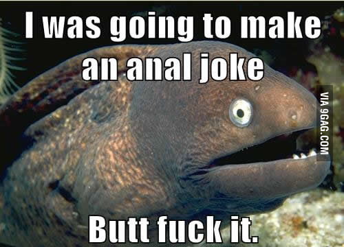 Bad Joke Eel - 9GAG