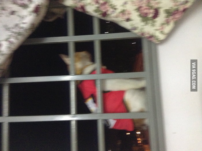 This gave me heart attack - 9GAG