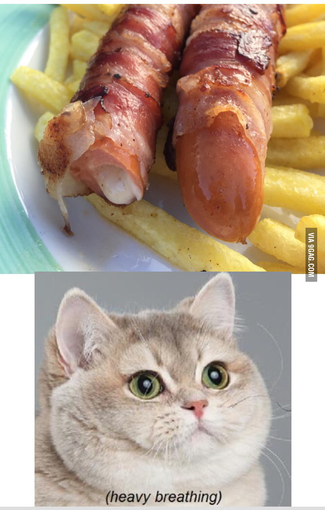 Cat Heavy Breathing Bacon