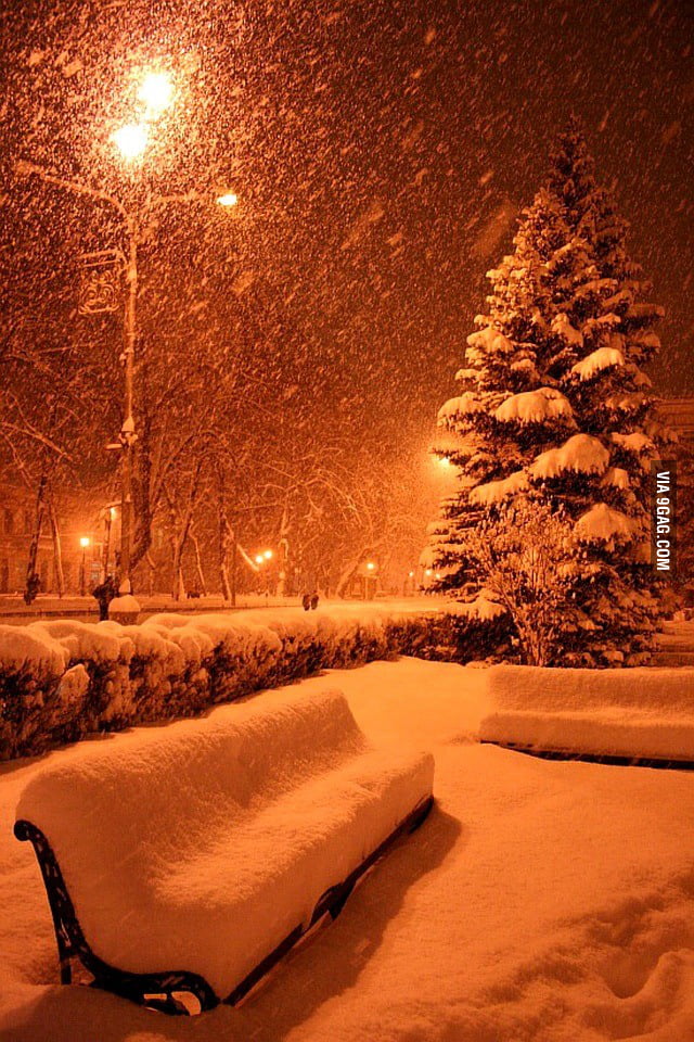 That bench turned into a snowfa - 9GAG