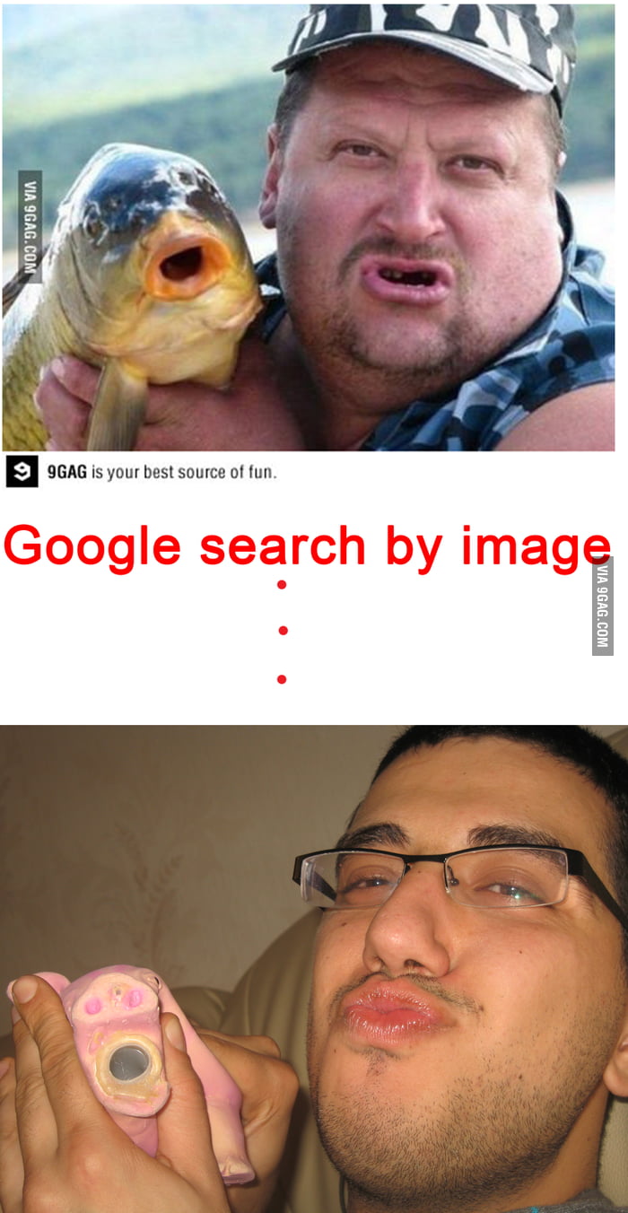 Half man Half pig Half fish - 9GAG
