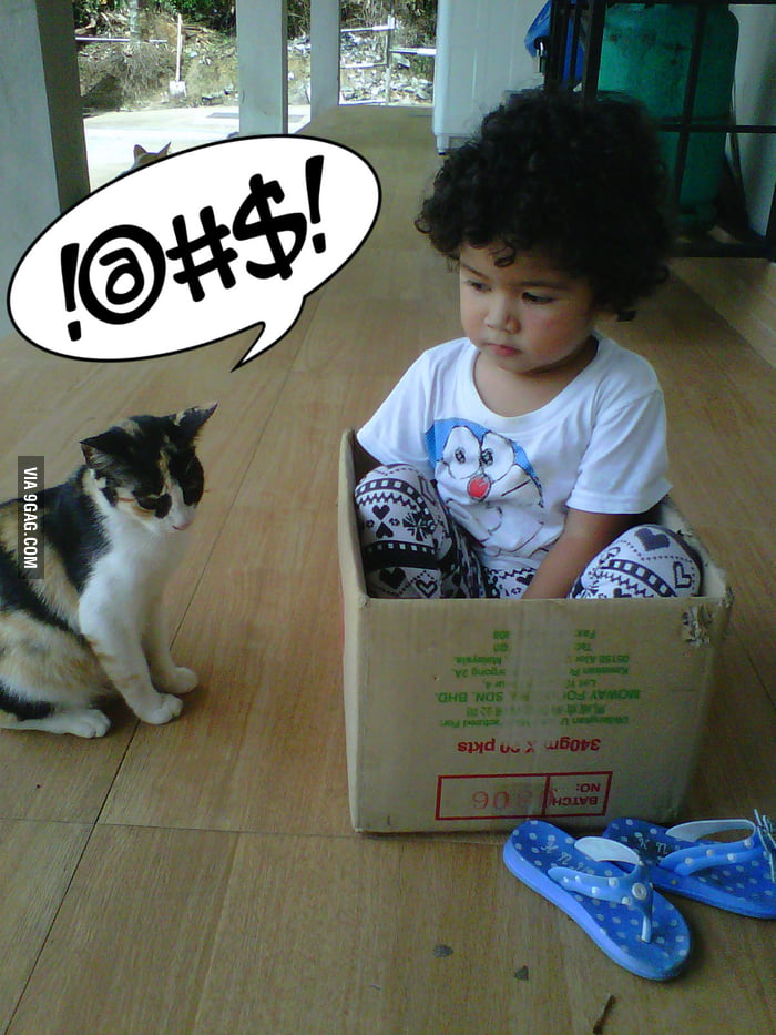 Go home you're drunk. - 9GAG