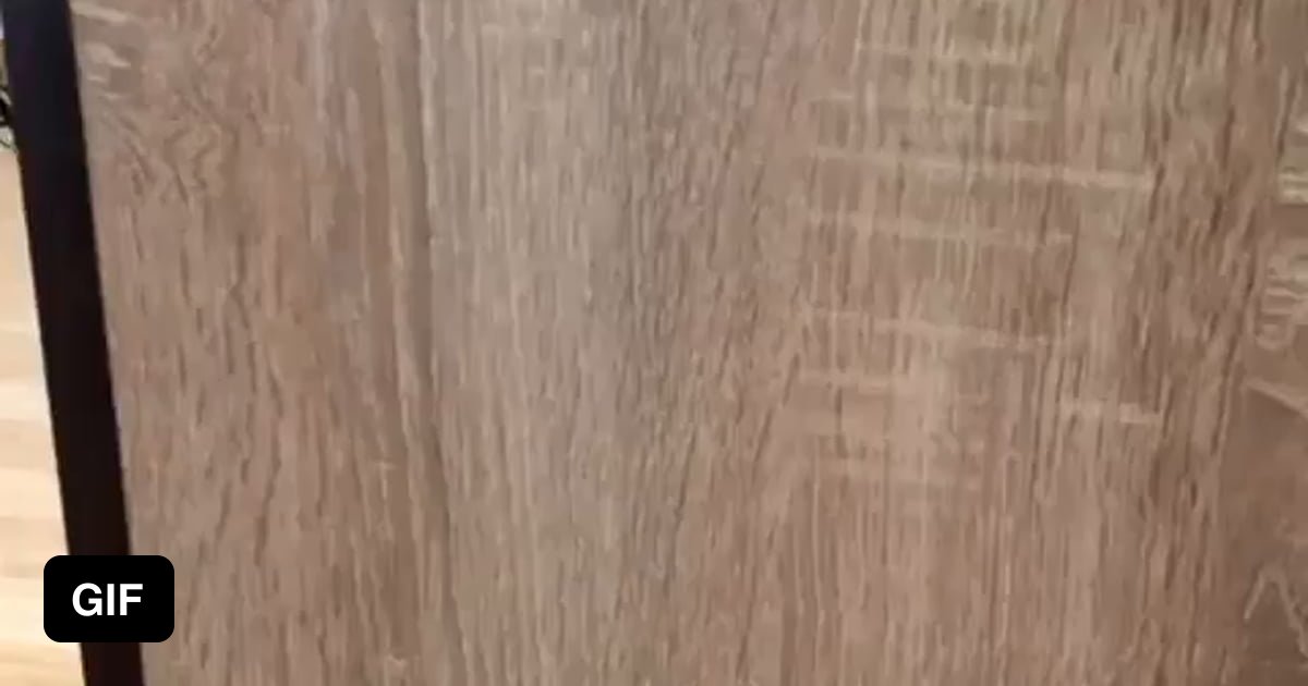 Only pack the essentials - 9GAG