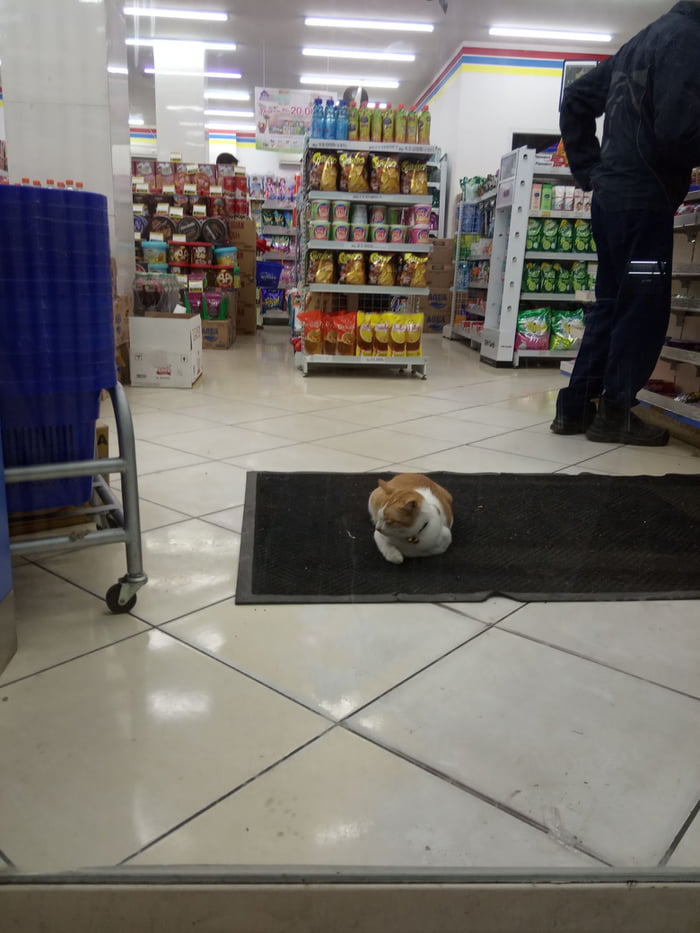 Kevin..store manager..he greets and judges you - 9GAG