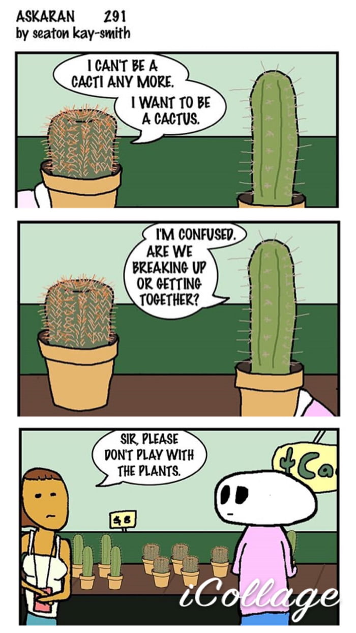 Cacti cactus - 9GAG
