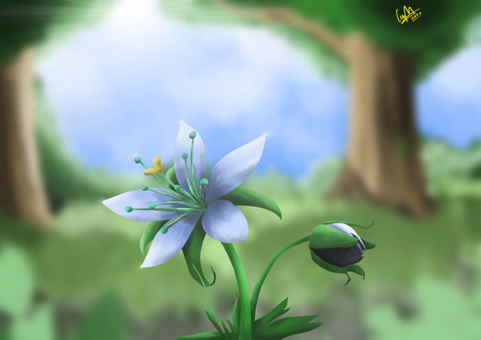 Silent Princess Flower | Best Flower Site