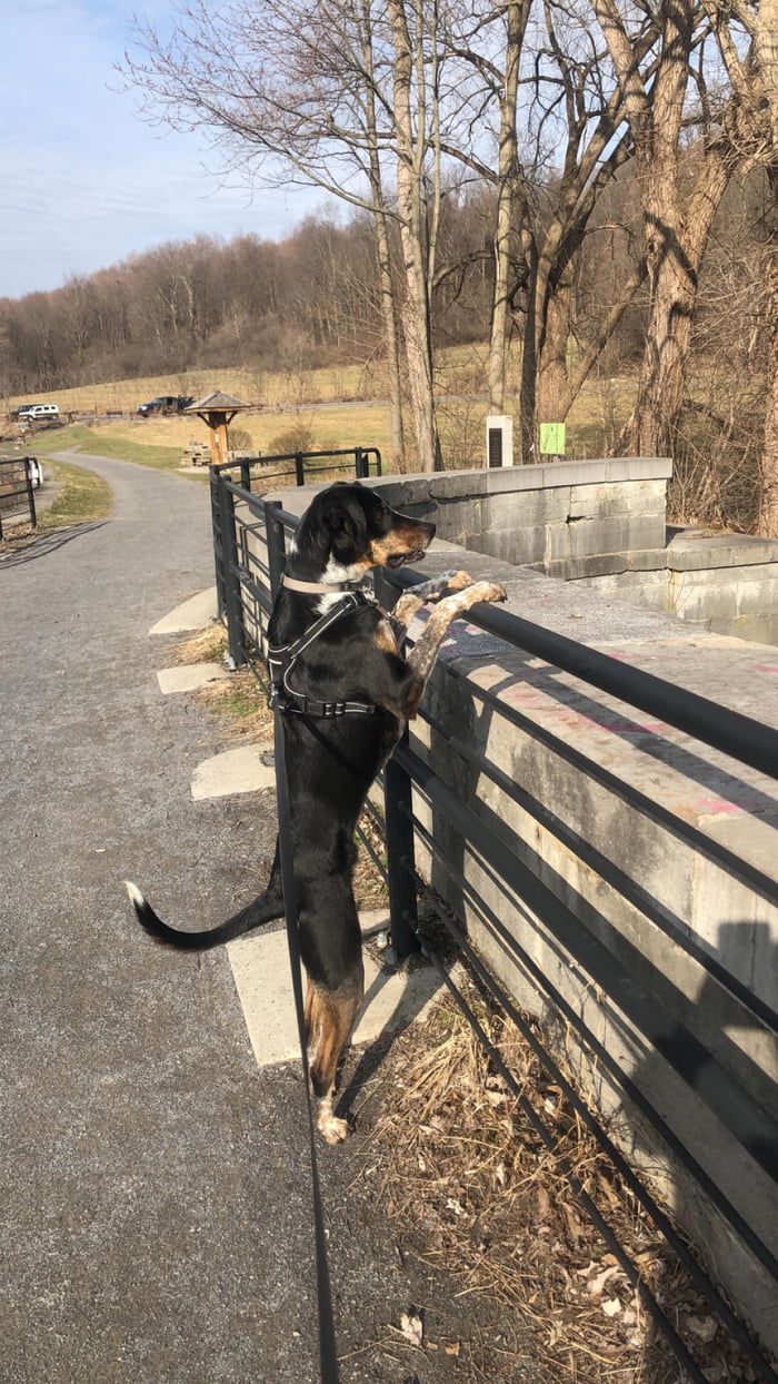 Whatcha doin’ over there fren? - 9GAG