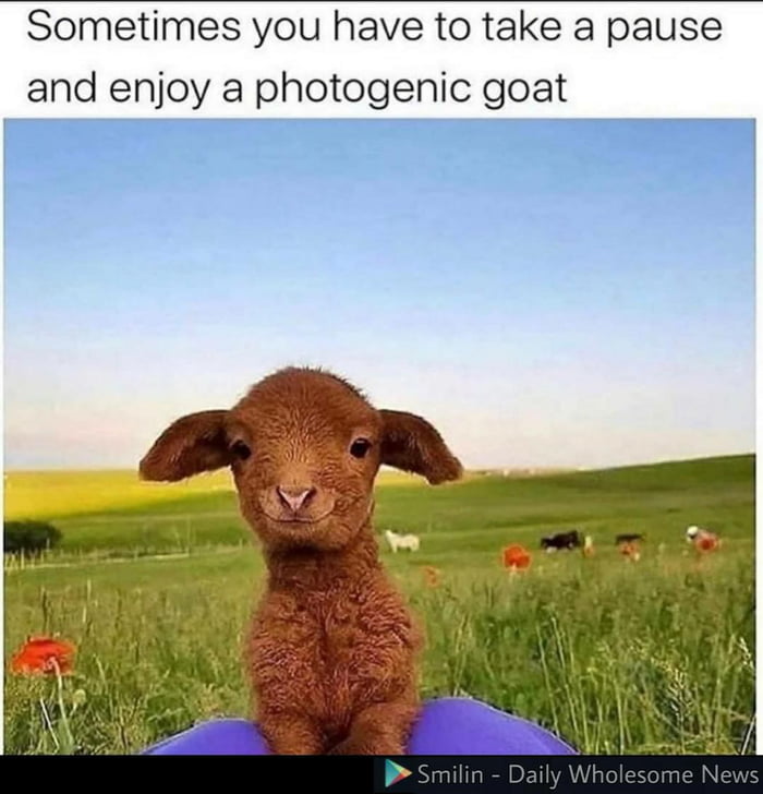Let's just take a pause - 9GAG