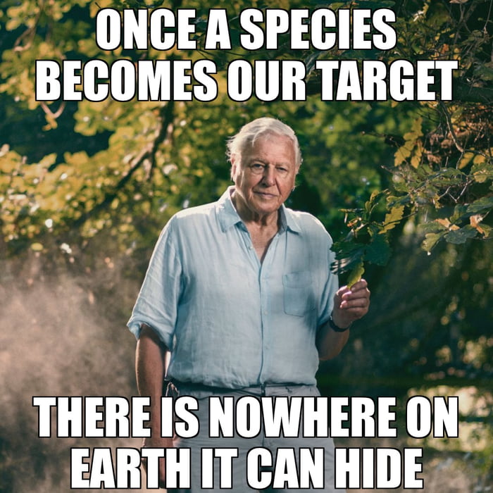 Sir David Attenborough dropping harsh reality bombs. - 9GAG
