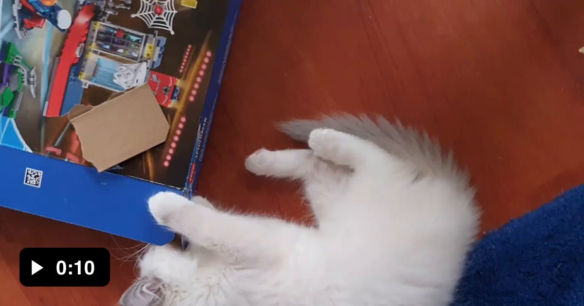 Milo thinks the Lego set is his - 9GAG