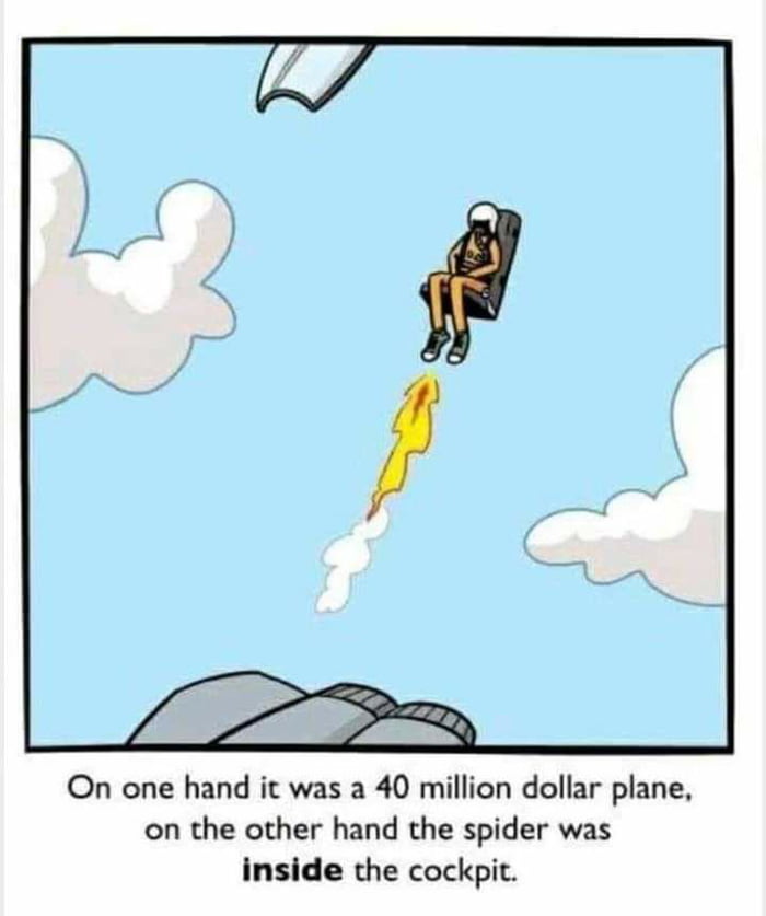 Important Life Choices 9GAG