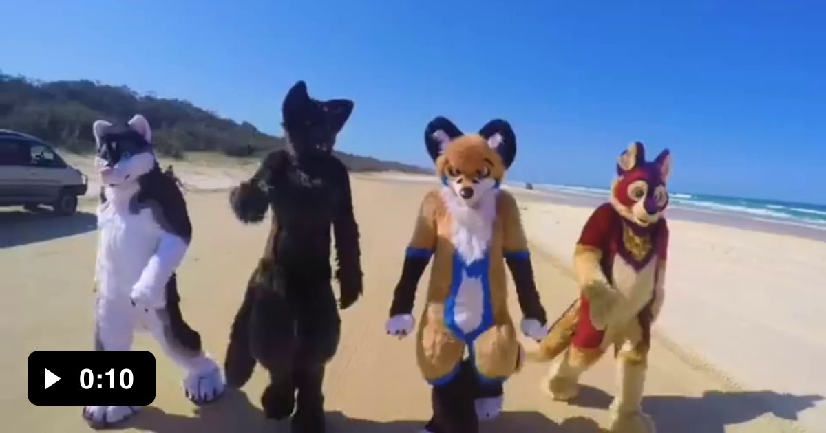 Furries Beach Vacation - 9GAG