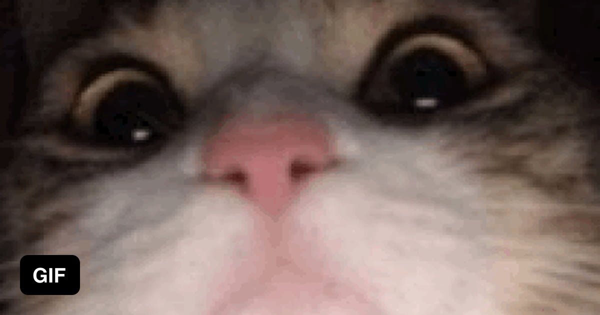 Homie checkpoint! They wanna know if you’re good, are you ight? - 9GAG