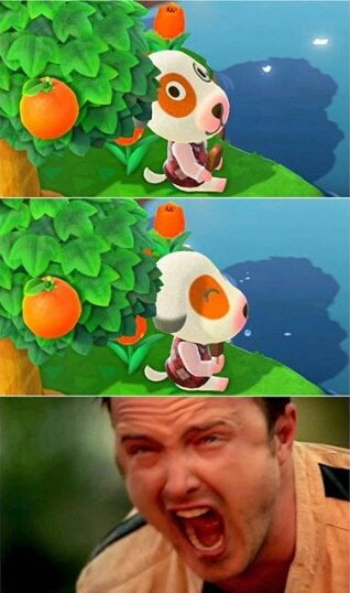 Bones , what are you eating!!! - 9GAG