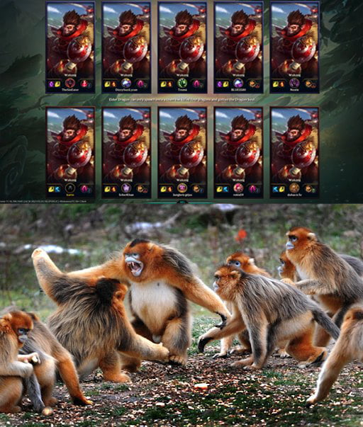 " monkey noise " - 9GAG