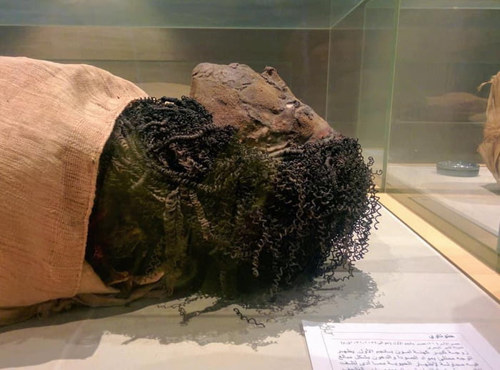 Egyptian mummy’s curly hair after 7000 years. - 9GAG