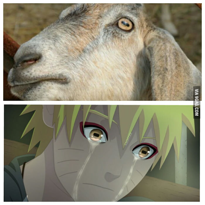 Here's Naruto and Hinata wishing you guys a happy Valentine's Day. : r ...