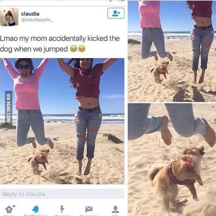 Doge got knocked out - 9GAG