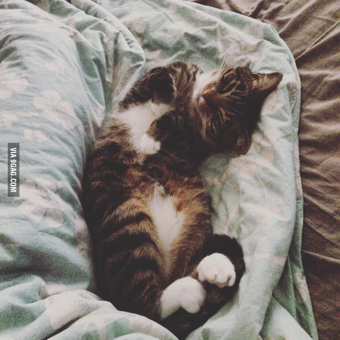 Life is seriously beating me down at the moment, atleast I got my best ...