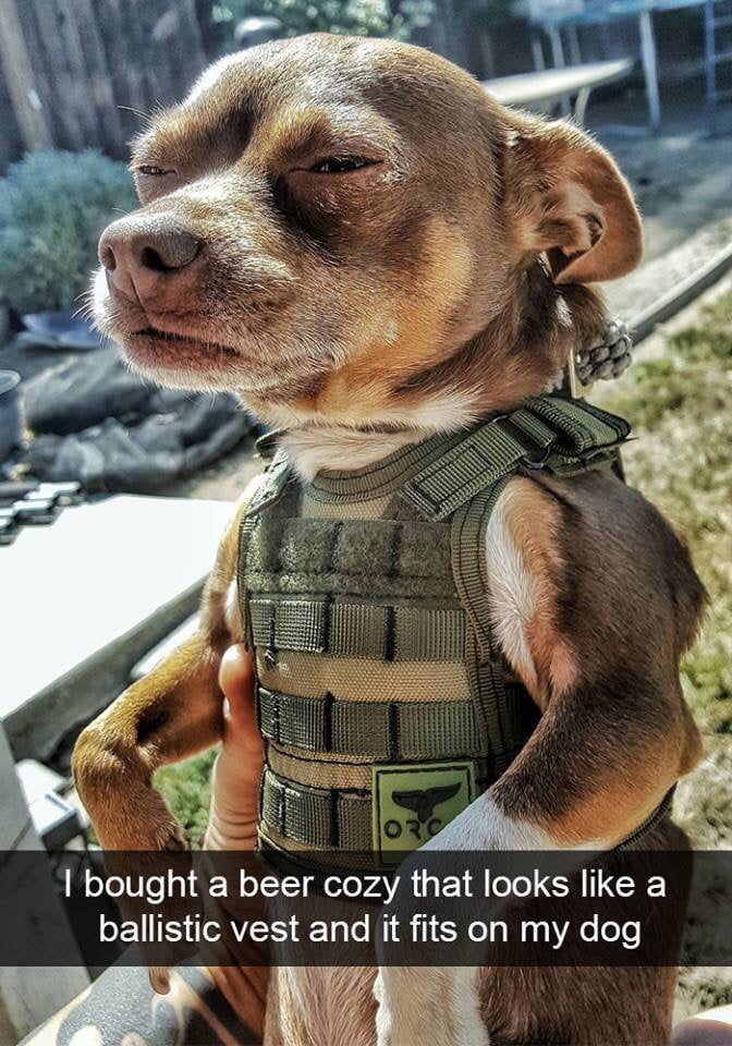 Commando Doggo - 9GAG