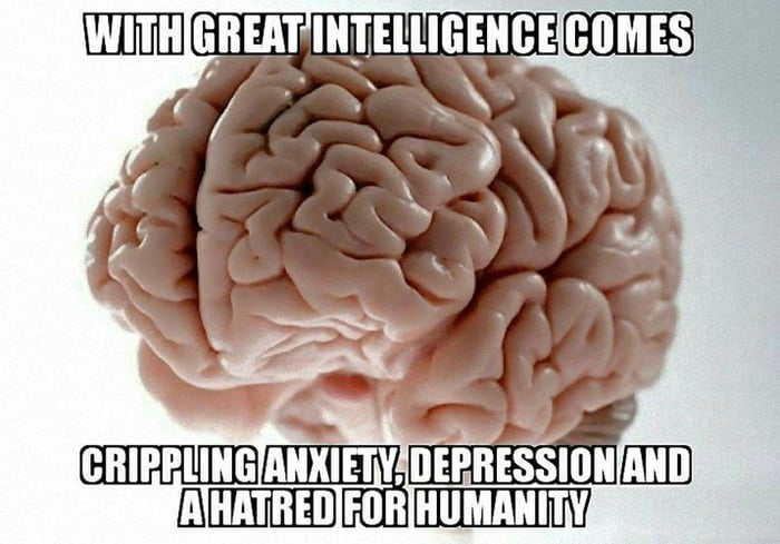 Much intelligence - 9GAG