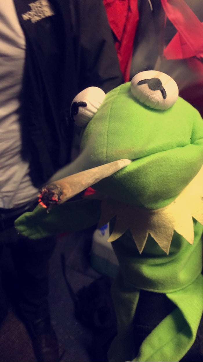 Kermit the fog - 9GAG