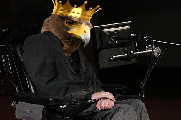 Steven Hawk King - 9GAG