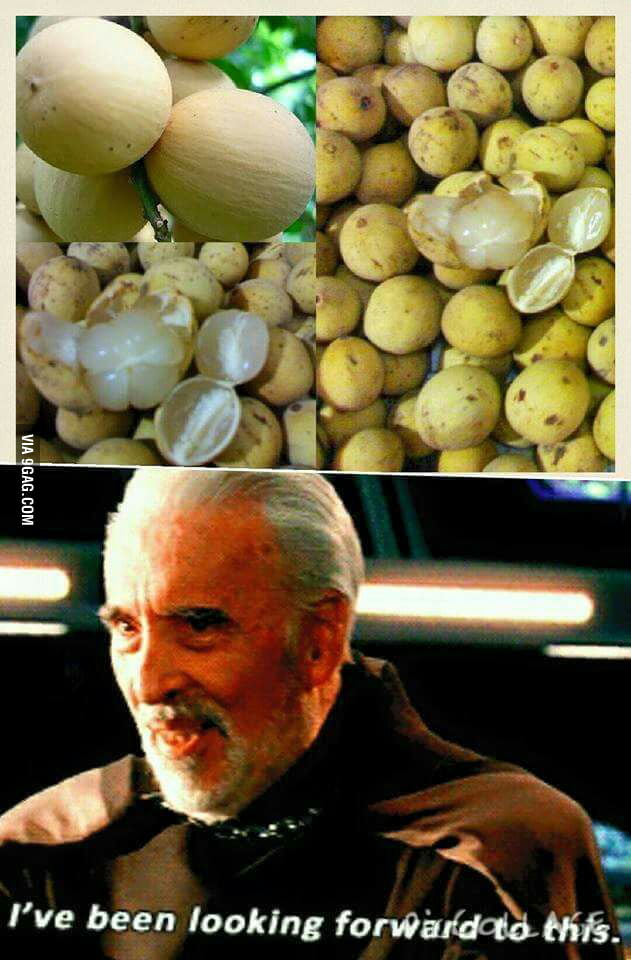 This fruit is called Duku ("dooku"), people eat them, but some may have differing ideas on what ...
