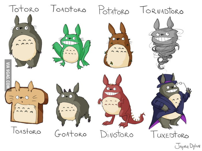 The Different Kinds of Totoro. - 9GAG